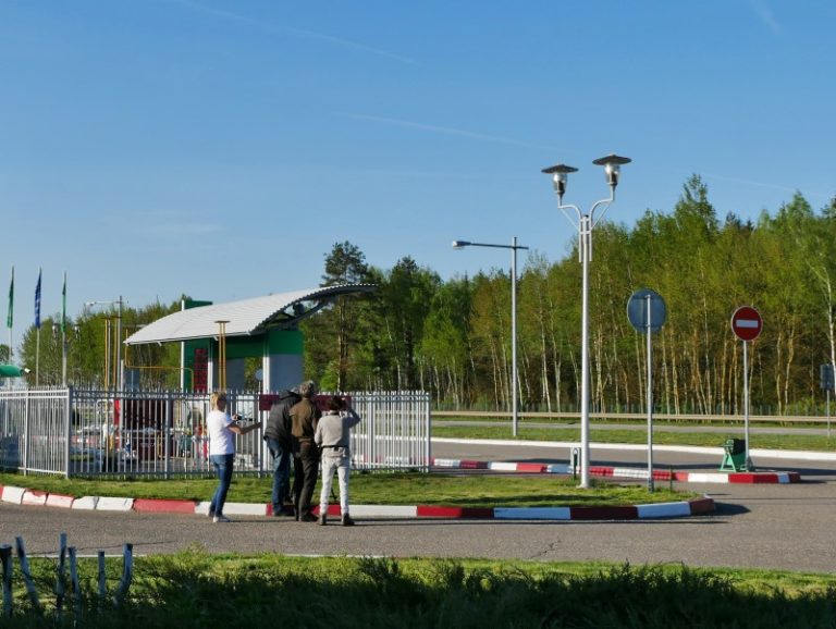 Goldige Ammer * Flügelschlag und Leisetreter